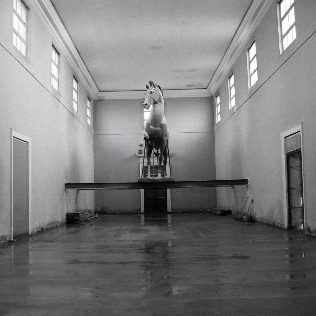 Il restauro del Cavallo colossale di Canova