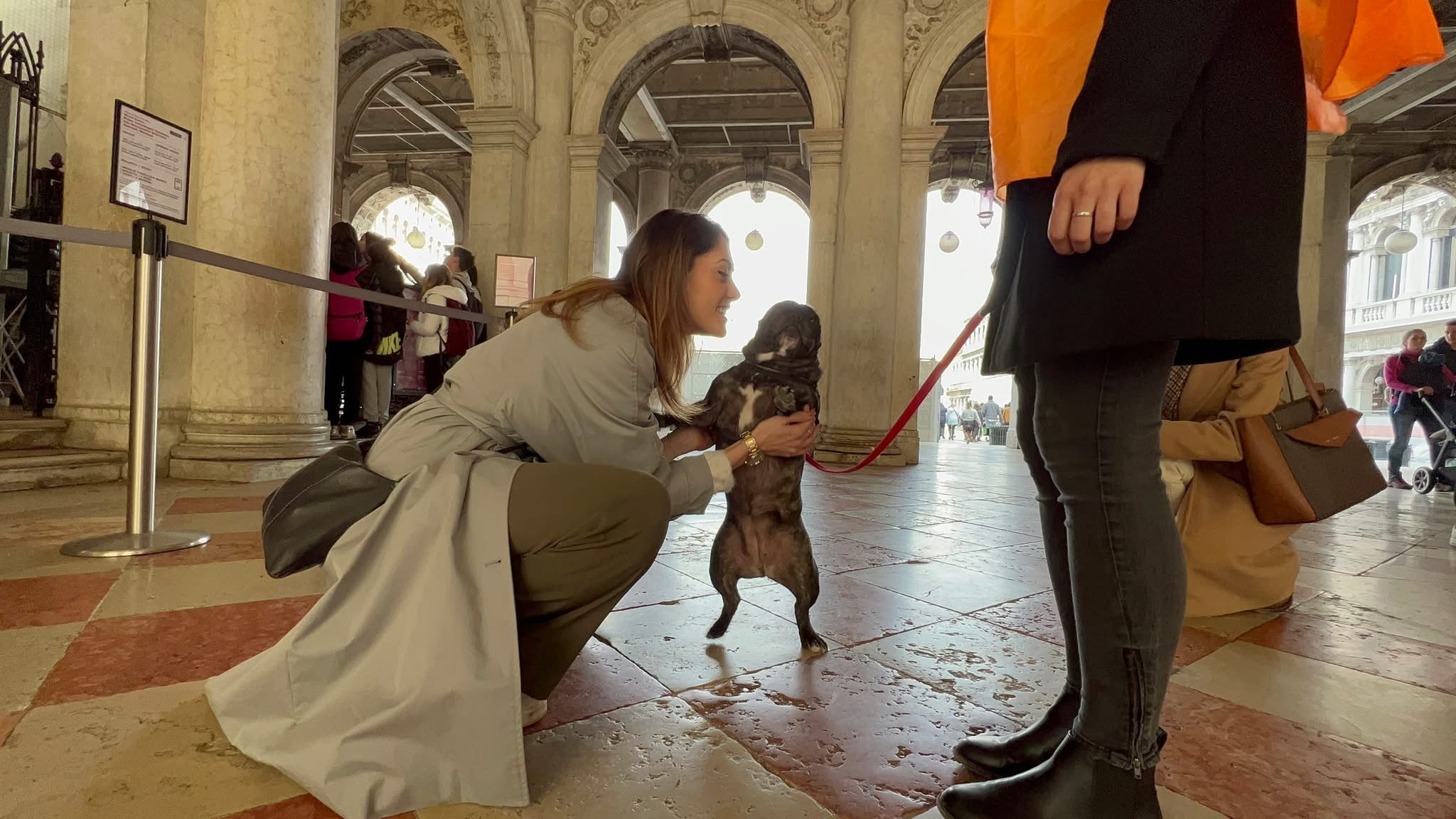 Torna a Venezia il progetto Dogs & Museum di Bauadvisor